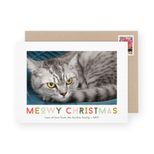 Cat-Themed Christmas Cards | Postable